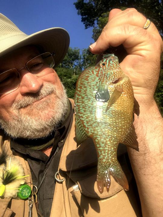 Gallery: 19 Oklahoma fish species caught on a fly rod. Can you ID them ...