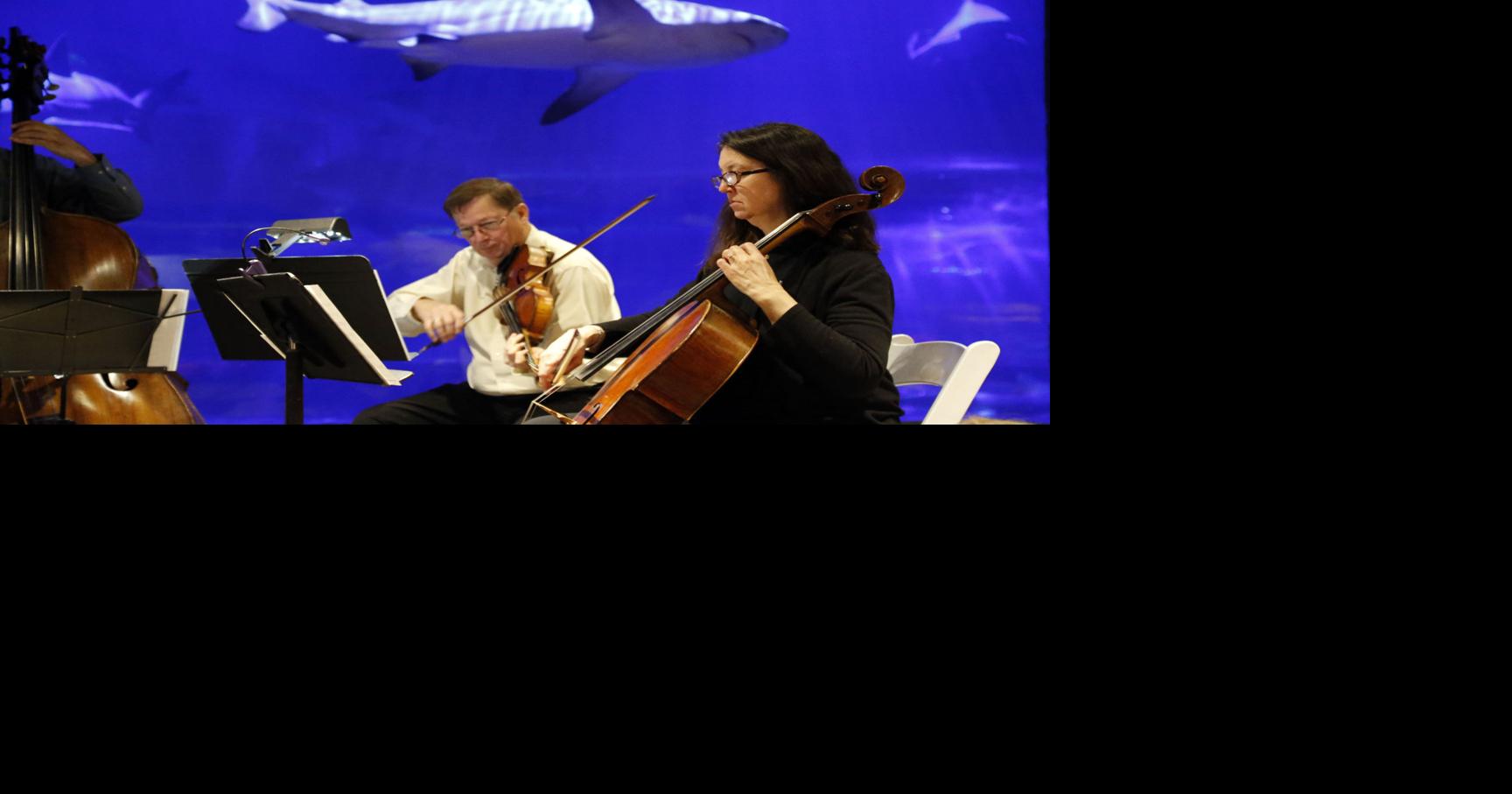 Tulsa Symphony goes virtually to sea