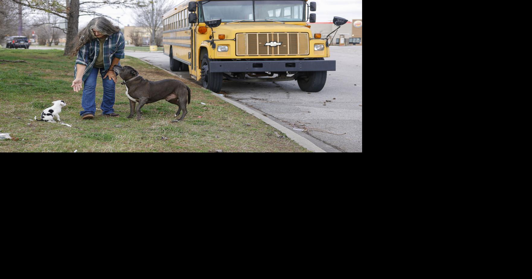 Ginnie Graham: Living life out of a school bus brings freedom and hardships