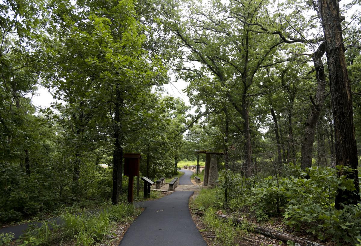 Night Hike set at Keystone Ancient Forest