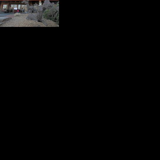 Best in the World: Bass Pro Shop