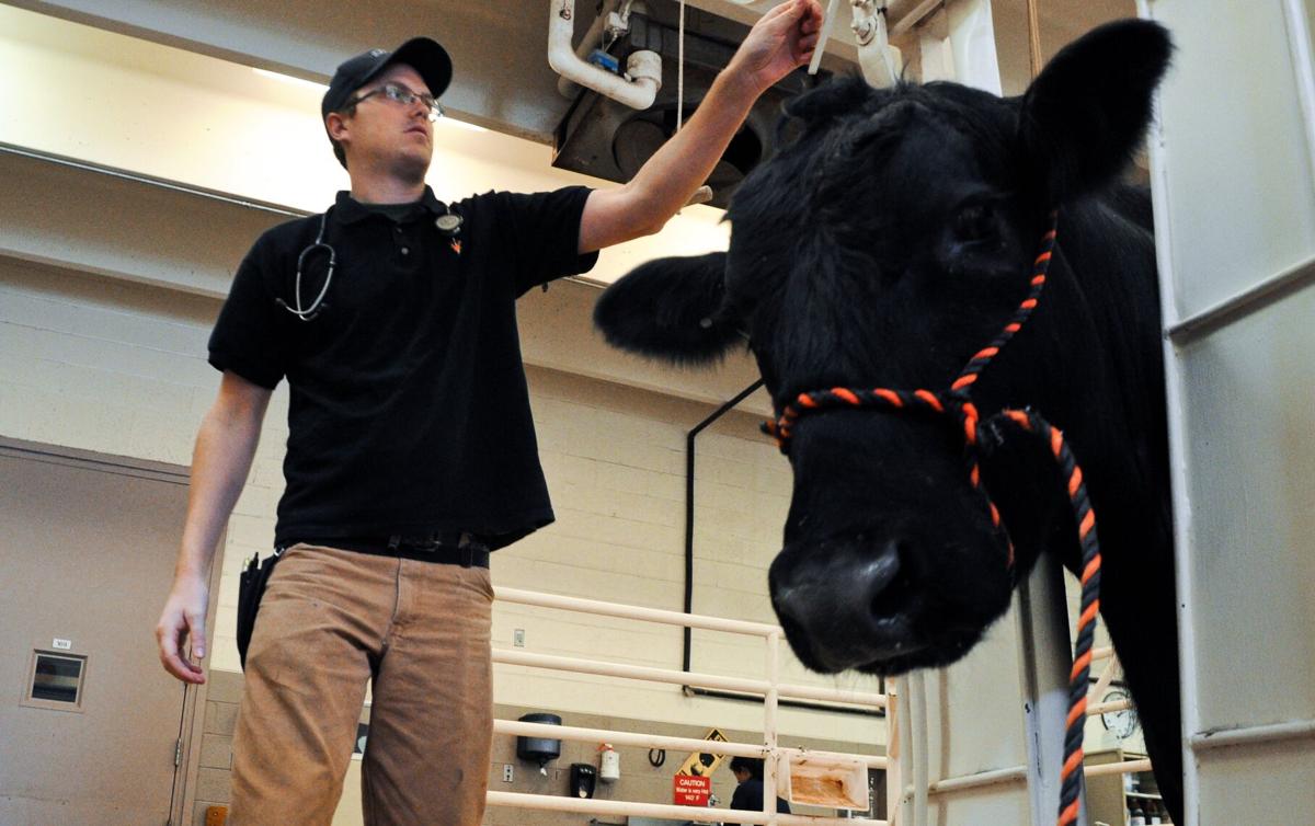 Improving OSU's veterinary school is a marathon job: Opinion