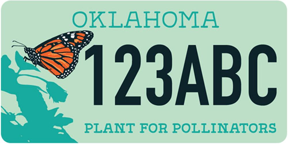 Excitement takes flight over new specialty license plate designs ...