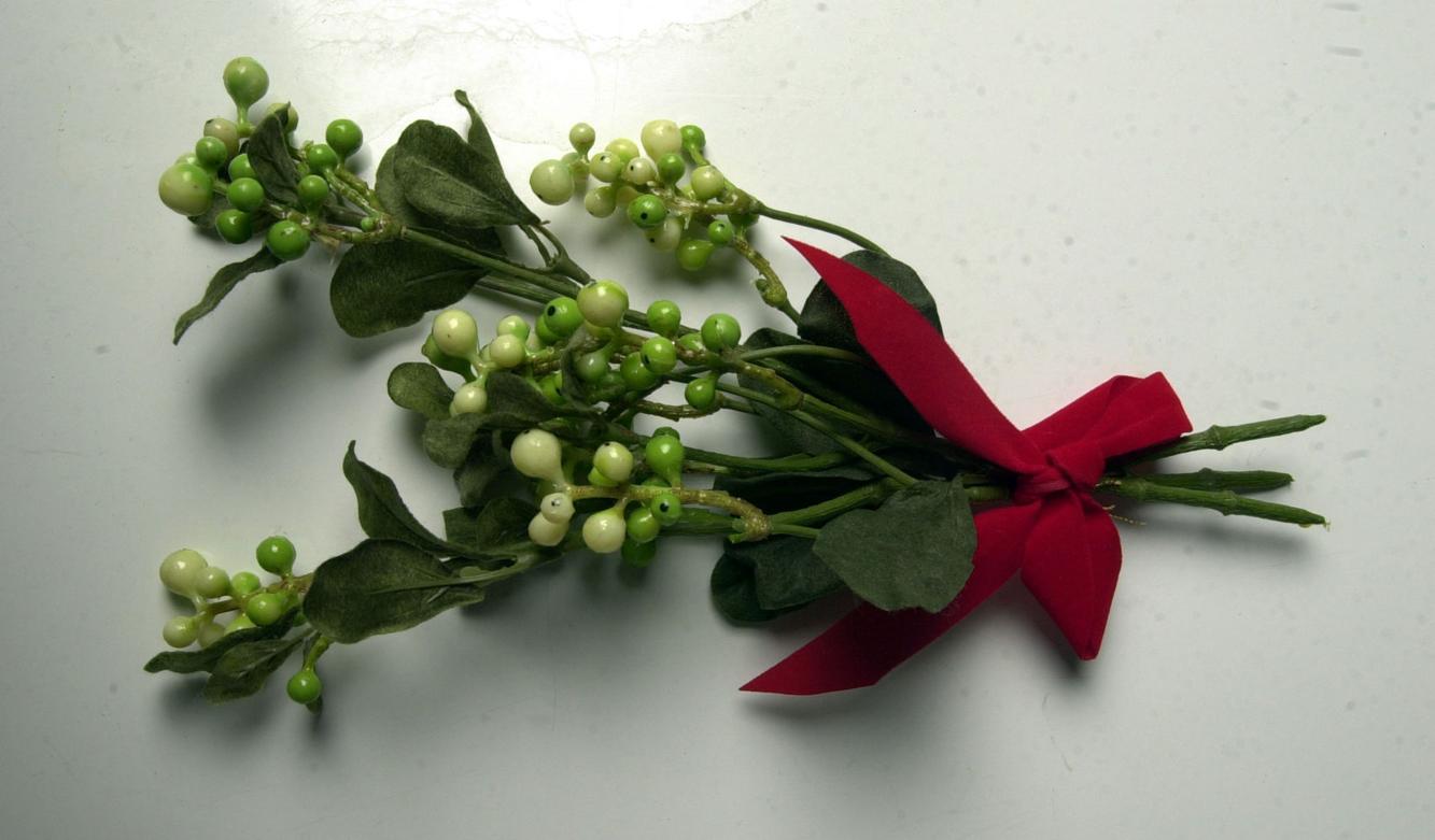 Mistletoe has an interesting history
