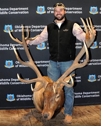 New state record elk among hundreds of trophy Oklahoma bucks, bulls ...
