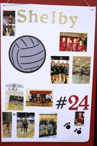 Wagoner VB senior poster 2