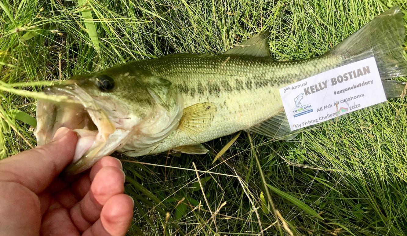 Gallery: 19 Oklahoma fish species caught on a fly rod. Can you ID them?