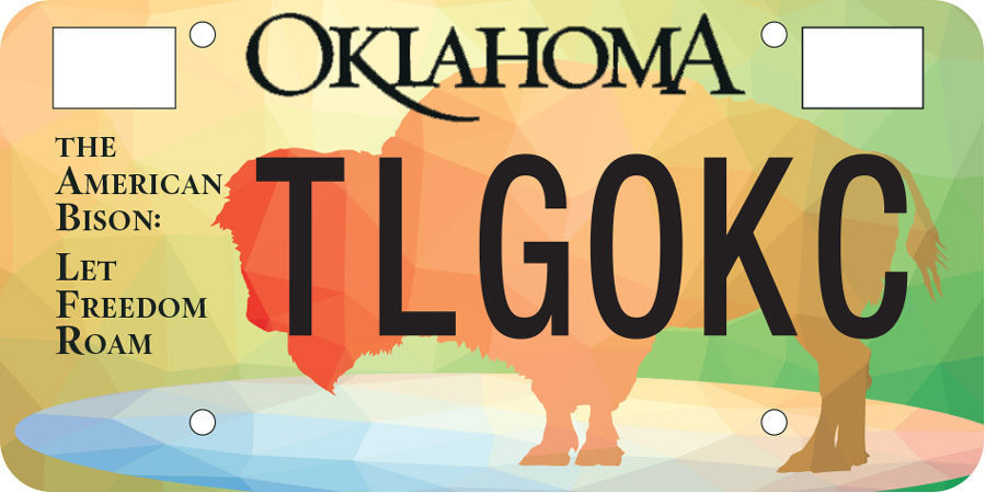 Bison plate designs steal thunder from new state license plate unveiling