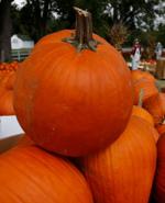 Your guide to Tulsa's fall festivals