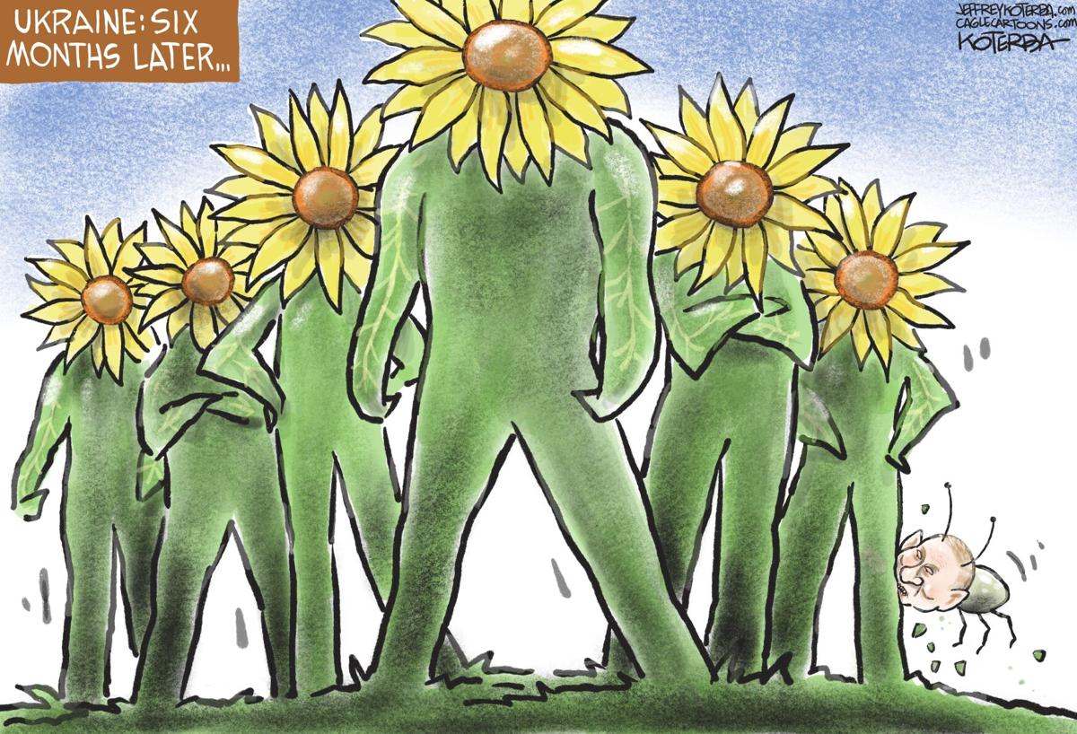 Cartoon: Ukraine Six Months Later