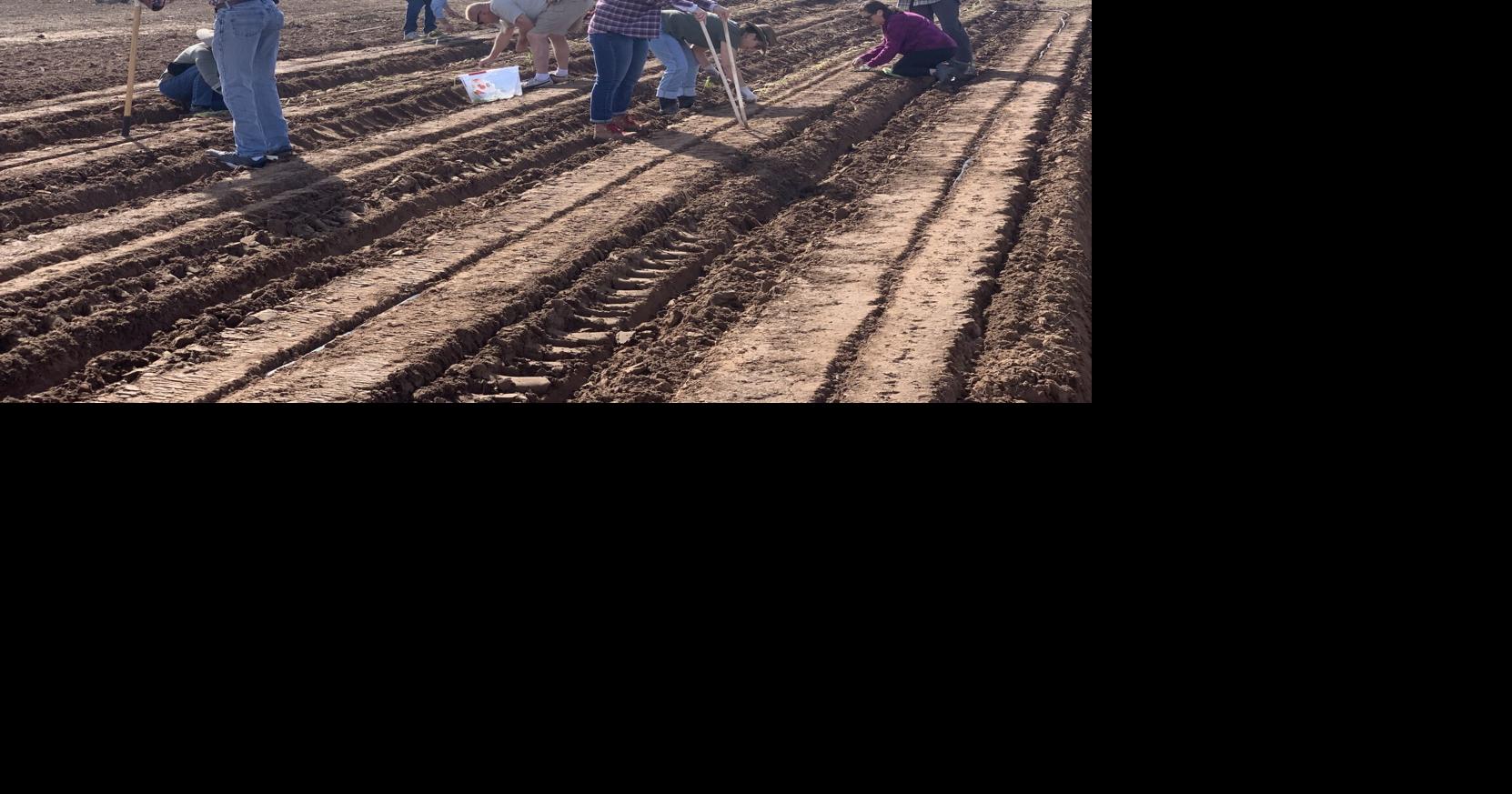 Seed to Supper Farm teaches large-scale vegetable gardening