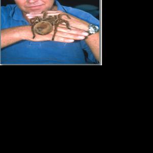 On TV: 'Monk' returns with obsessive-compulsive charm; Insects of ...