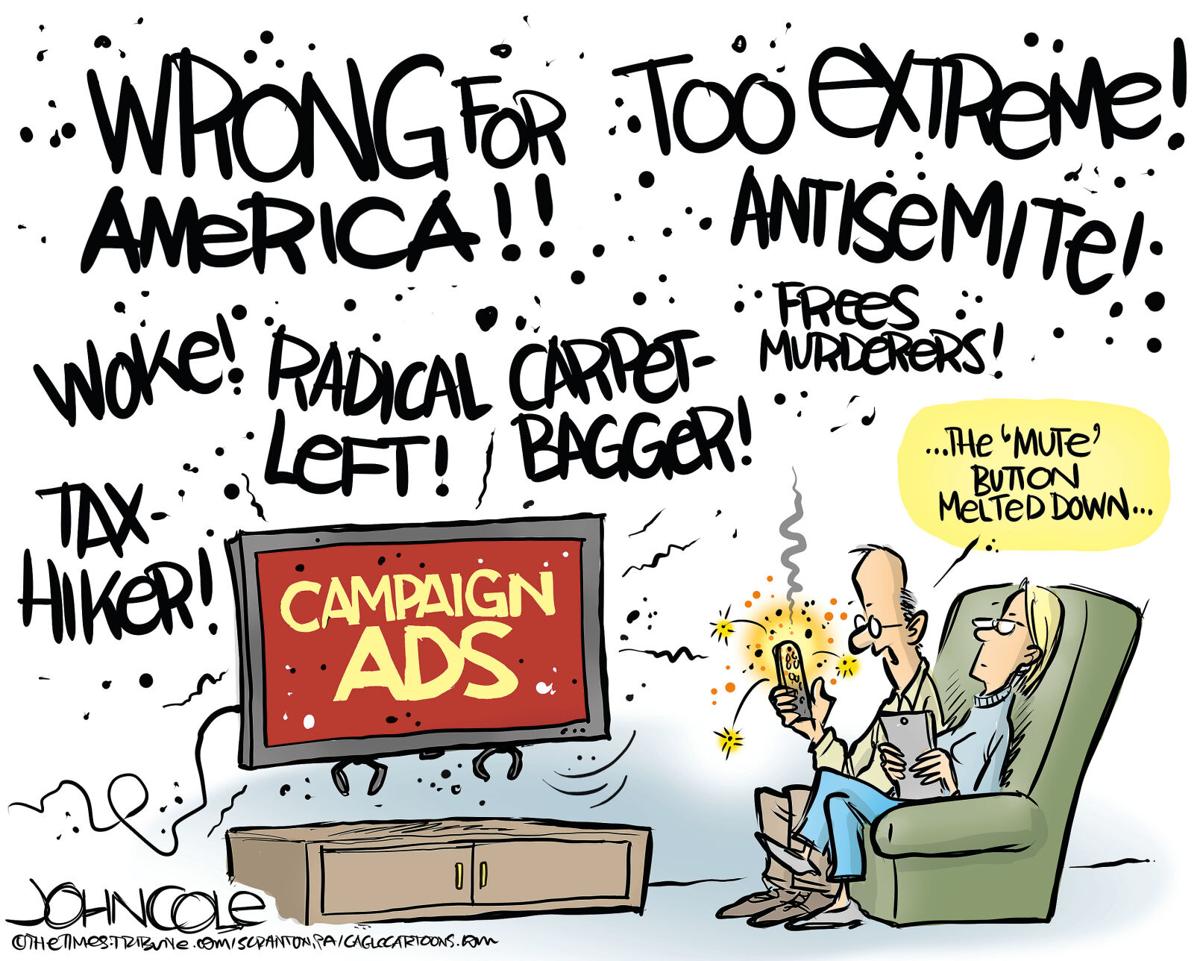 Cartoon: National Muting The Campaign Ads