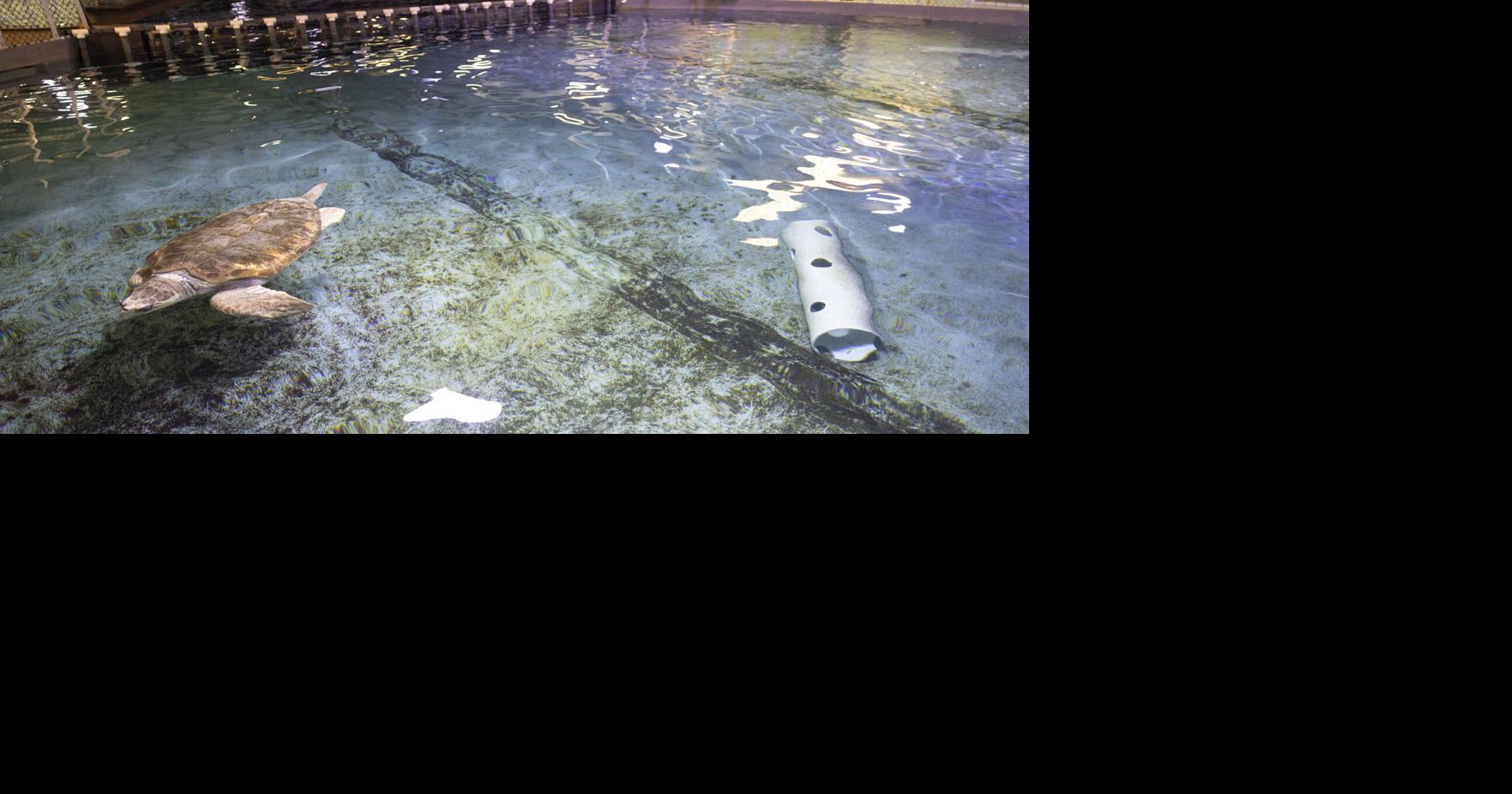 Aquarium renovations on heels of Jenks outlet mall's opening