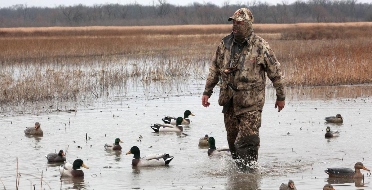 Kelly Bostian: Hunting guide turns cattail marsh into a haven for ...