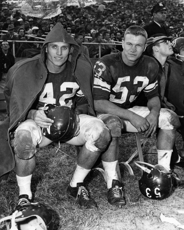 Photo gallery: See images from the new book "Switzer: The Players' Coach"