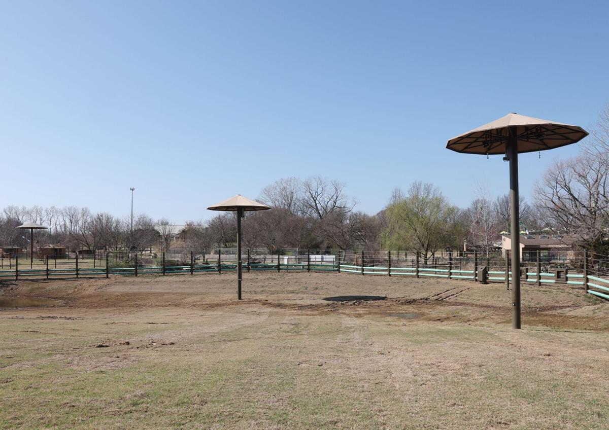 Photos: Tulsa Zoo celebrates newly completed Elephant Preserve Barn