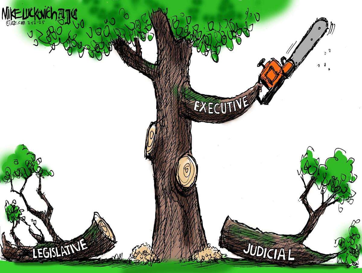 Cartoon: Fallen Branches