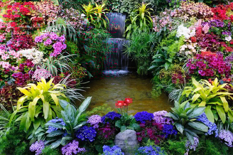 Colorful gardens create a beautiful display | Archives | tulsaworld.com