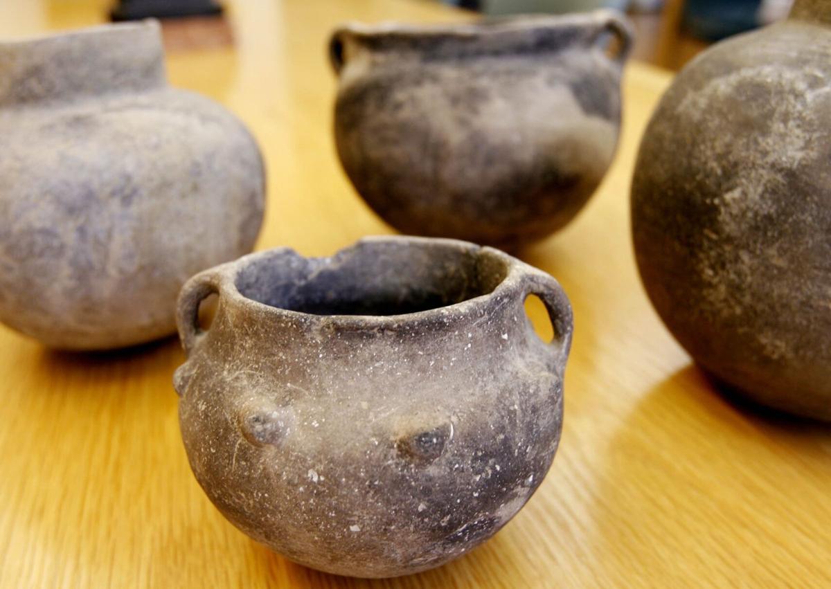 Editorial: Institutions with Indigenous remains need to invest in ...