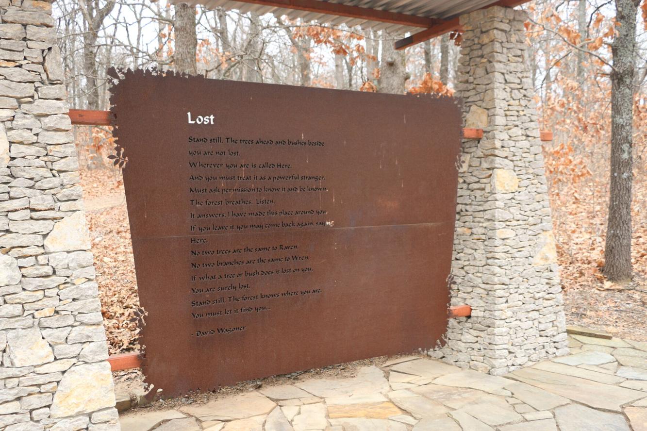 Keystone Ancient Forest a hot spot for fun, fresh air even on cooler days