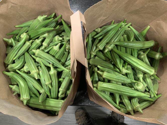 Okra plants keep producing despite oppressive Oklahoma heat