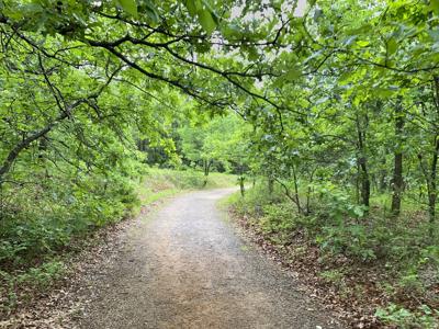 Letter: Take time to explore the Keystone Ancient Forest in Sand Springs