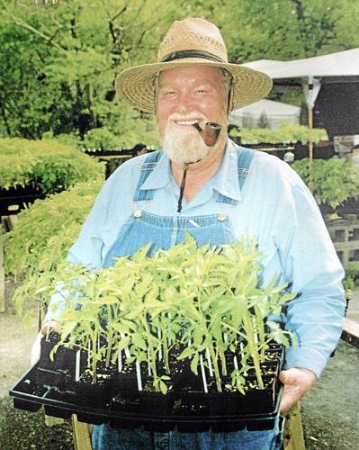 Hurry to Tomato Man's Daughter after it opens Tuesday for best pick