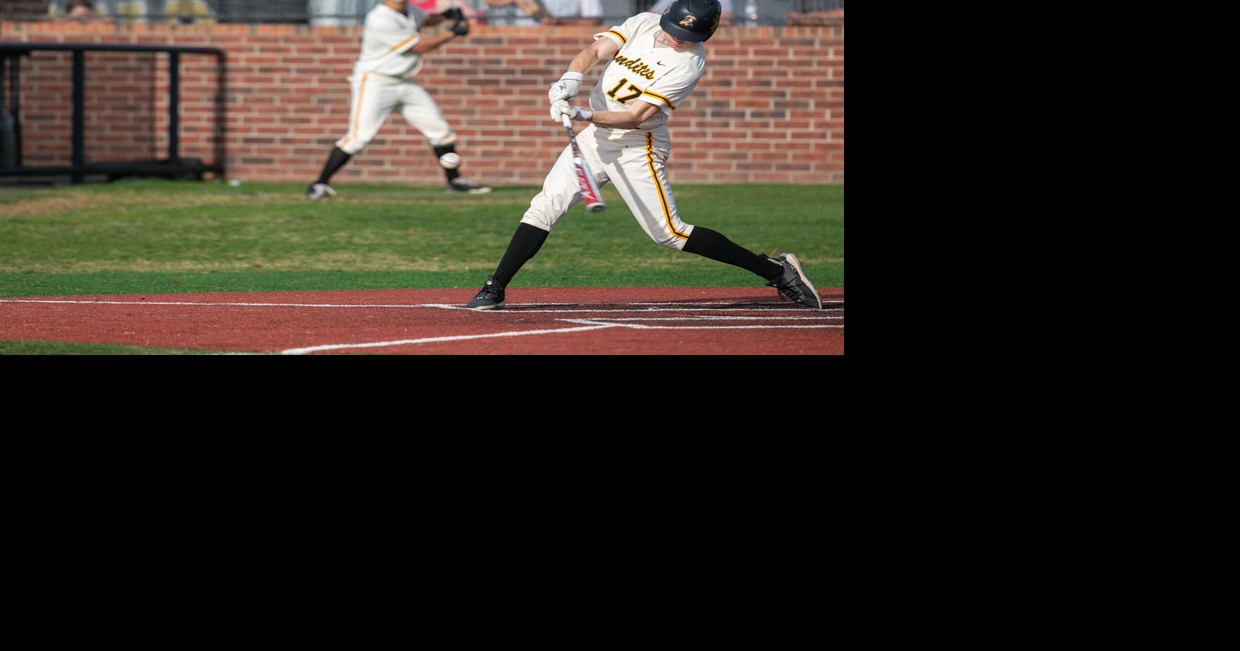 Sandites suffer another baseball heartbreaker in regional finals