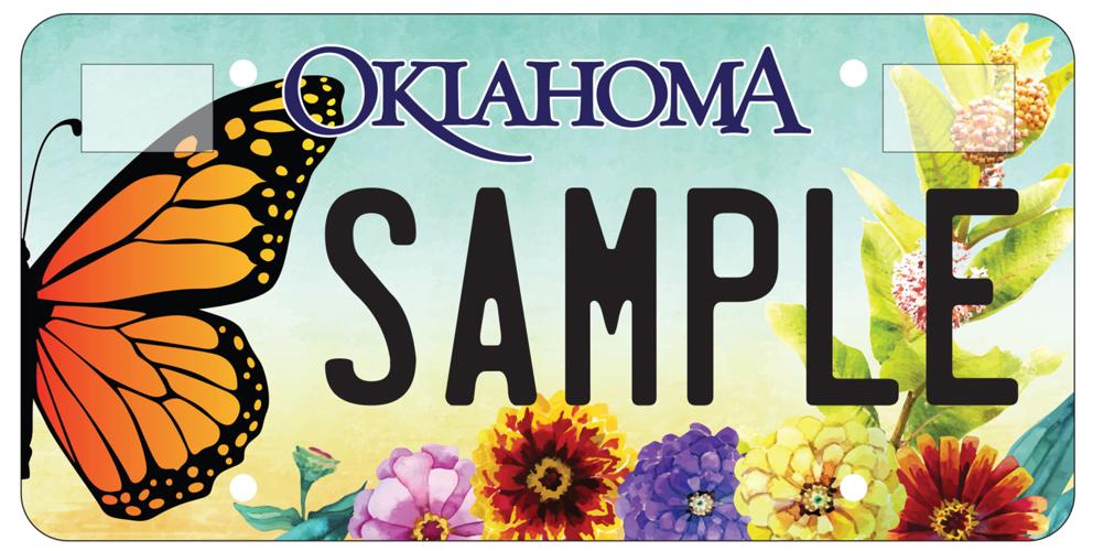 Excitement takes flight over new specialty license plate designs ...