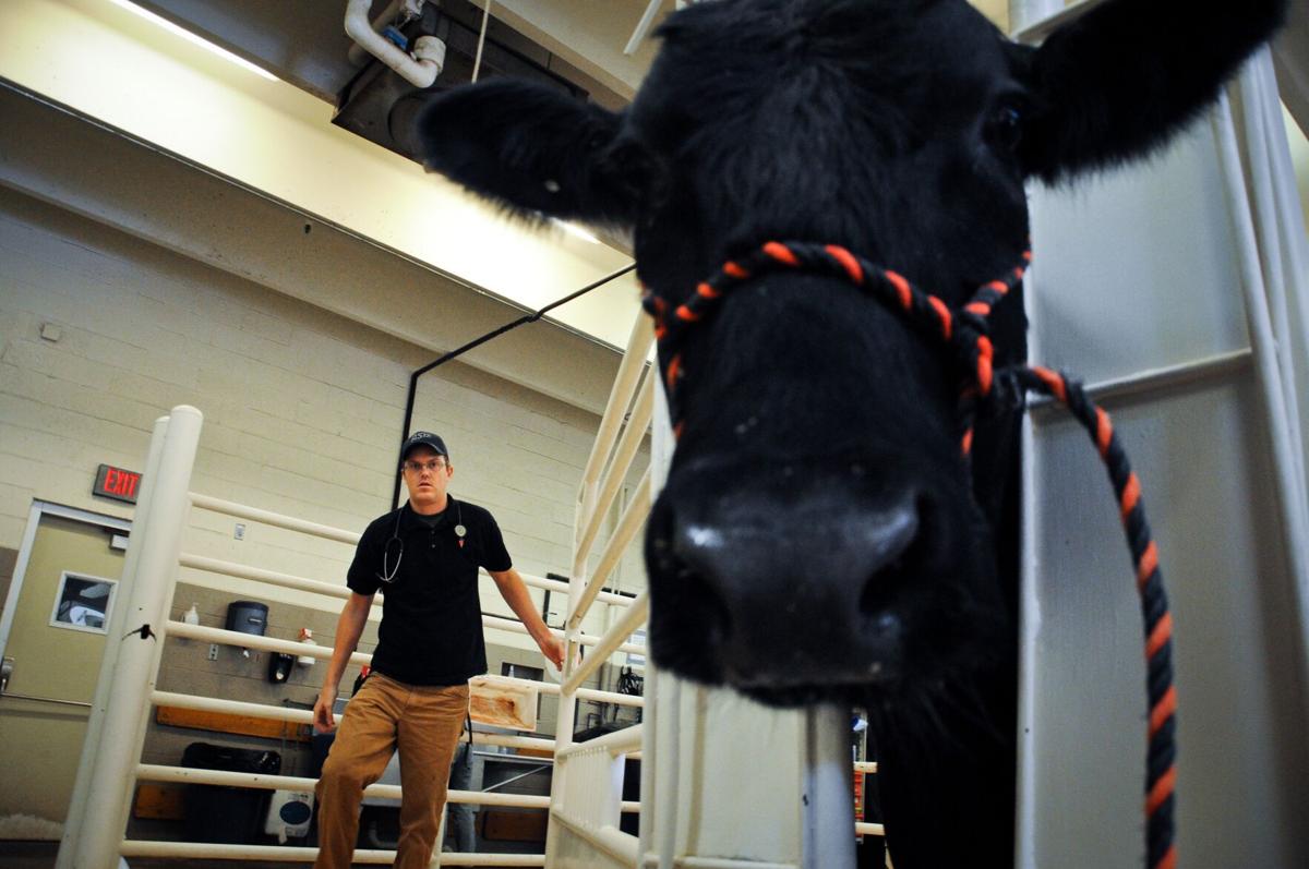 Oklahoma State University to replace its animal hospital