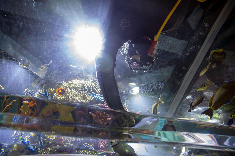 Scheels offers preview before grand opening of Tulsa store