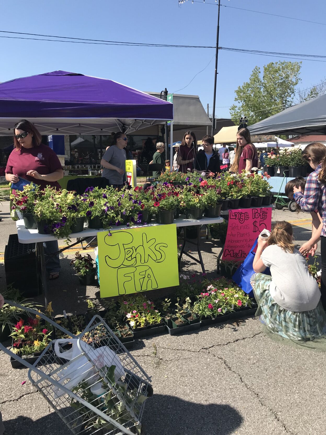 Spring festivals, plants sales and garden tours around Tulsa