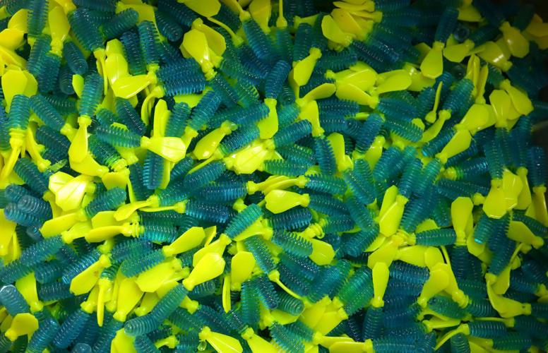 Oklahoma family 'dynasties' supply baits for bass, crappie anglers ...