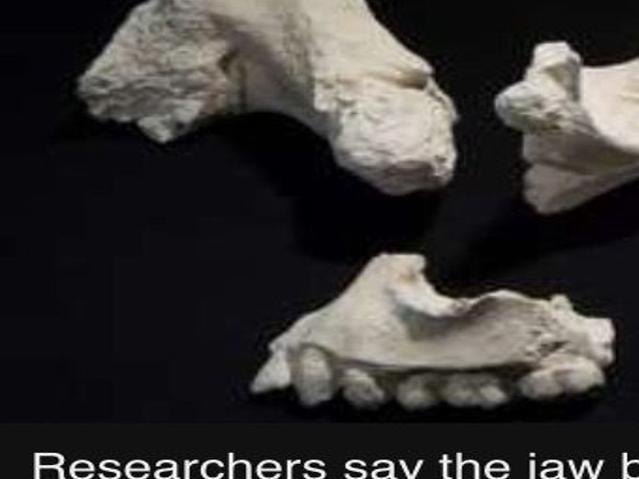 australopithecus deyiremeda