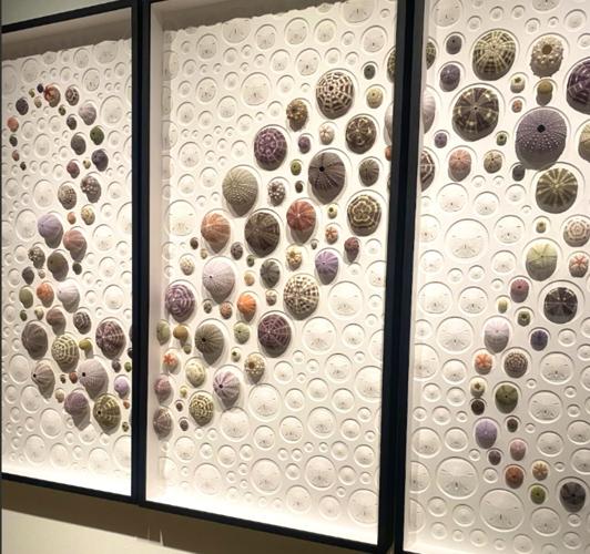 ‘Exquisite Creatures’ stuns as Crystal Bridges’ newest temporary ...