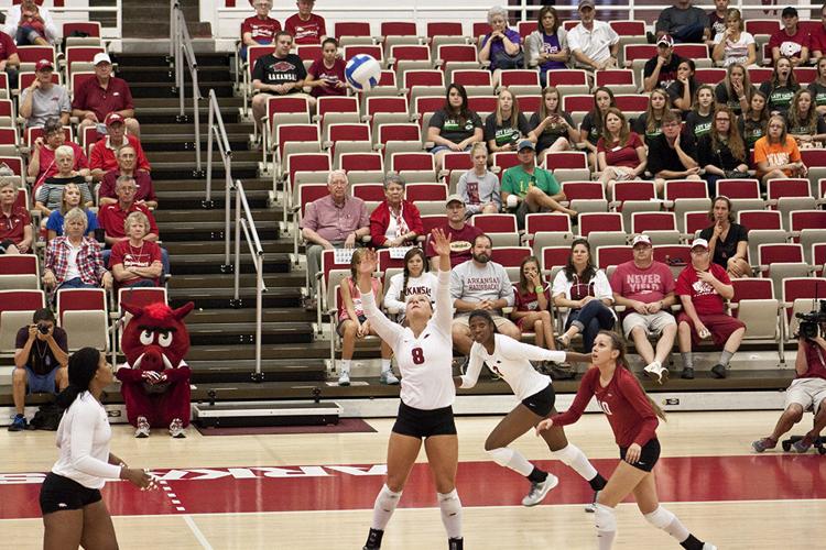 Razorback Volleyball V. SFA | Sports | uatrav.com