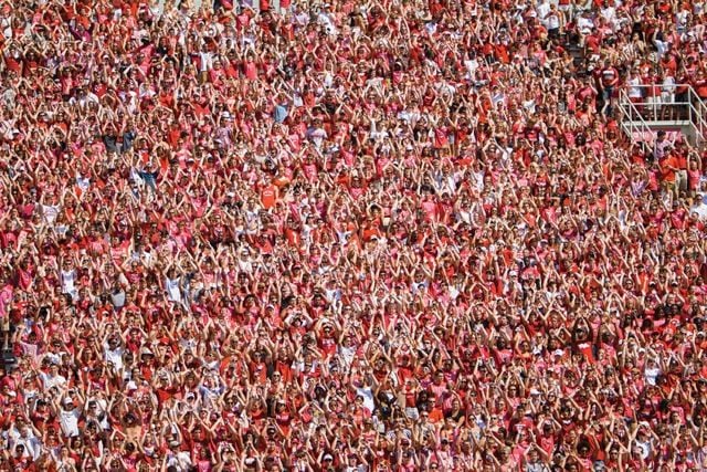 Razorback Football Not Just A Game, Success Key to Survival | Opinion ...