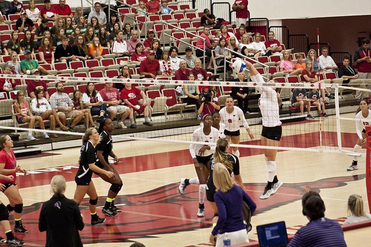 Razorback Volleyball V. SFA | Sports | uatrav.com