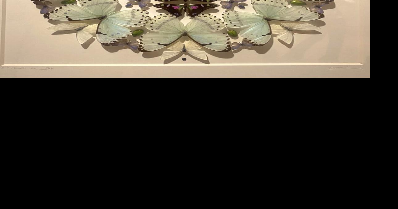 ‘Exquisite Creatures’ stuns as Crystal Bridges’ newest temporary ...