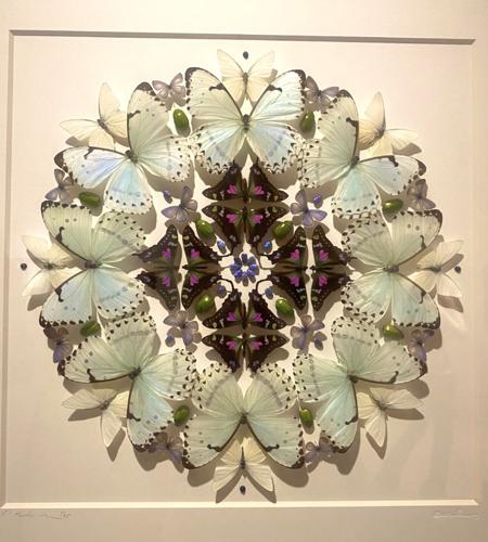 ‘Exquisite Creatures’ stuns as Crystal Bridges’ newest temporary ...
