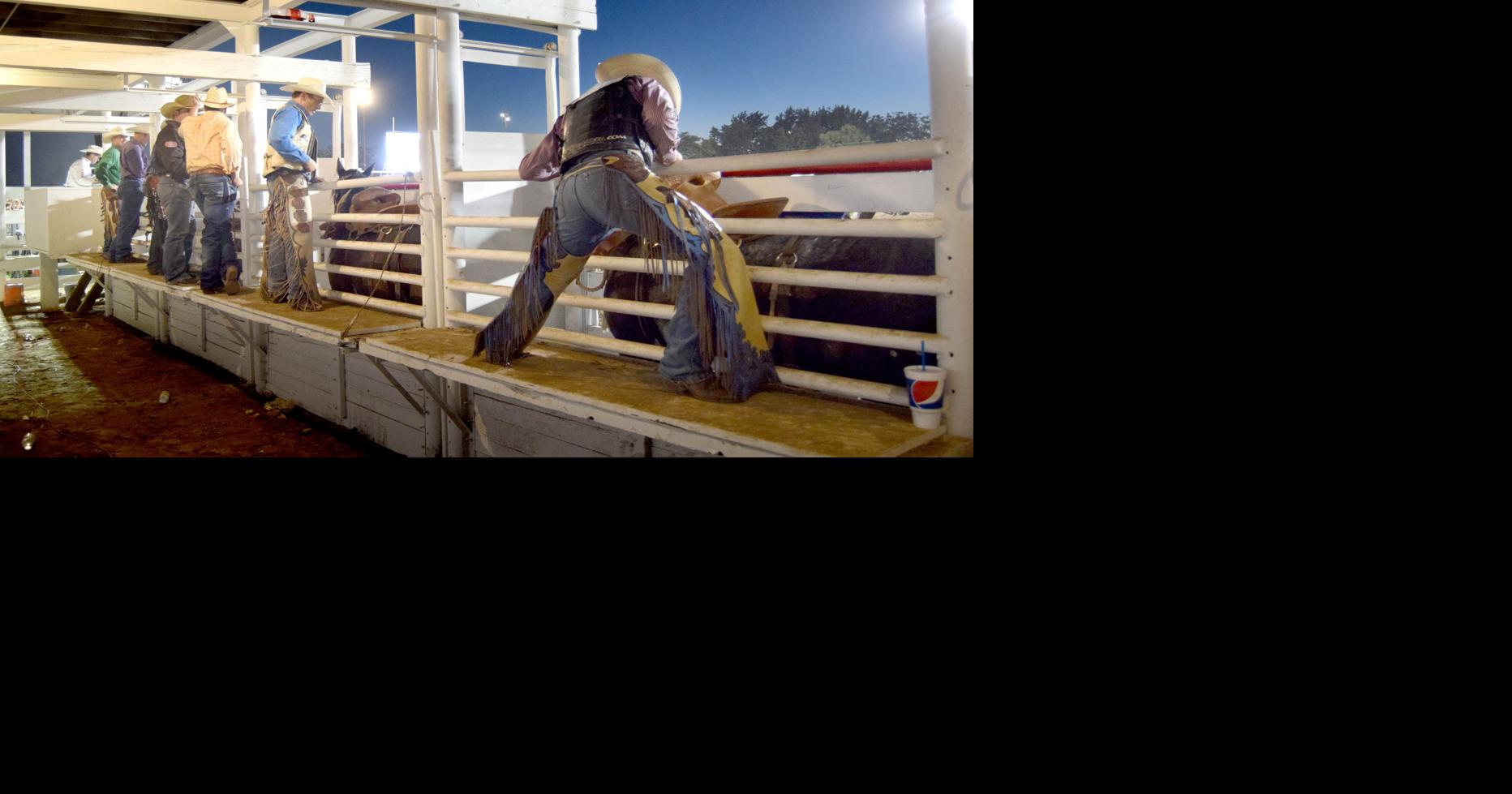 From sorting steers to riding broncos | News | union-bulletin.com