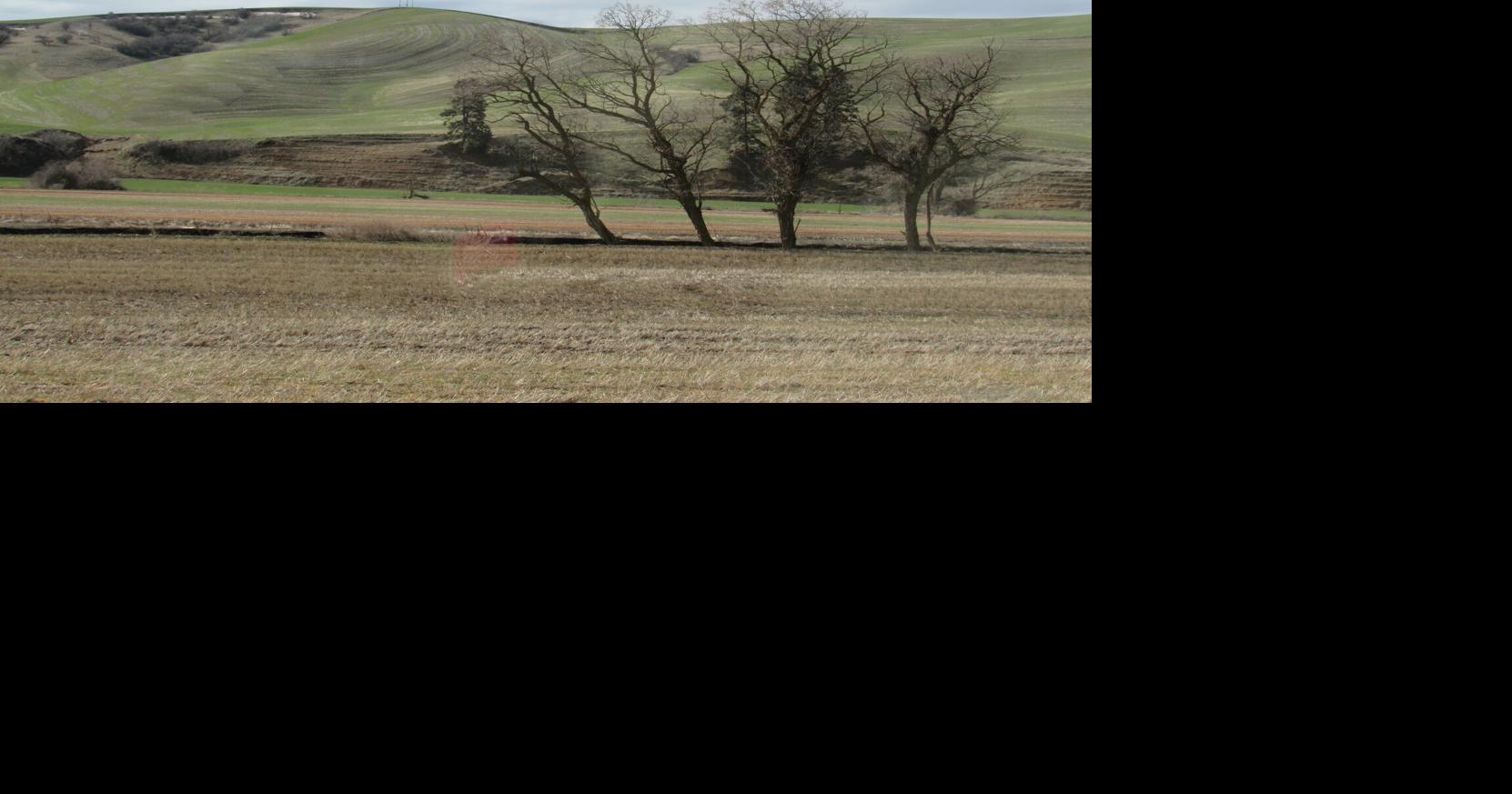 Exploring hollowed ground | Lifestyles | union-bulletin.com