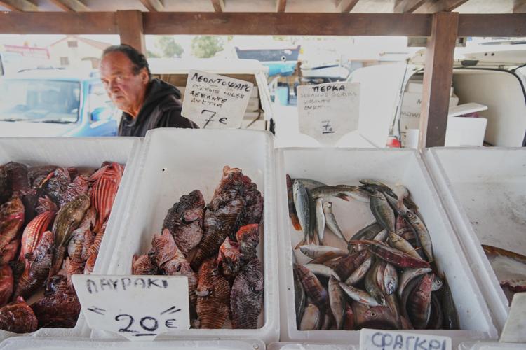 Correction: Cyprus-Invasive Fish story | World | union-bulletin.com