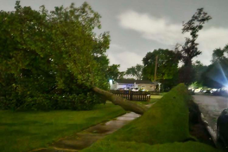 Tornadoes in Illinois and Indiana leave residents grappling with damage ...