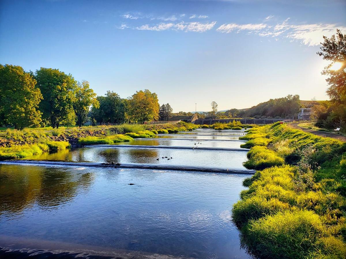 US Army Corps of Engineers closes Rooks Park in wake of child's injury ...