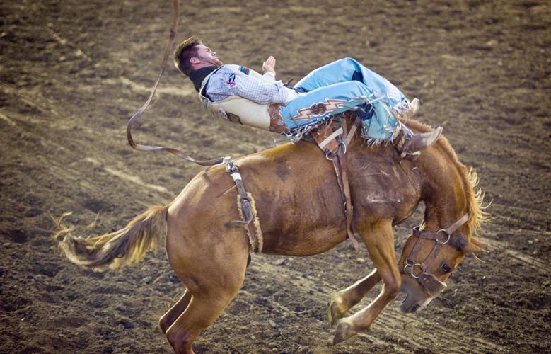 Champions crowned in Frontier Days Rodeo’s finale | Sports | union ...