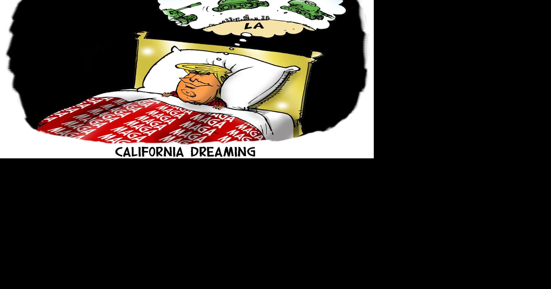 Editorial Cartoon: Walt Handelsman (June 14, 2025) | Cartoons | union ...