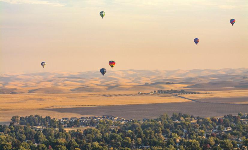 Balloon Stampede returns for first time since start of pandemic | Local ...