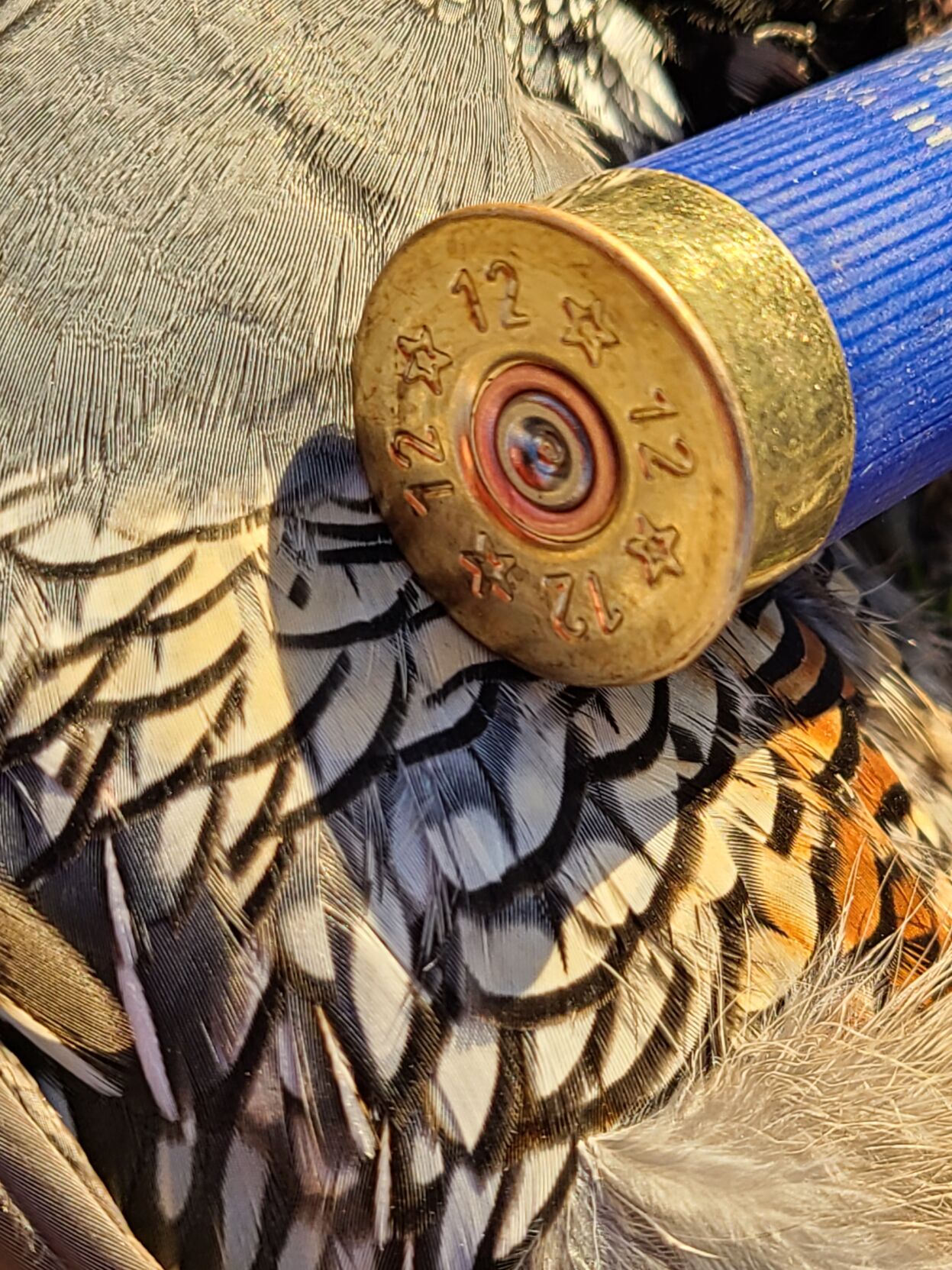 Shell shock: ammo shortage bites industry | Outdoor Recreation | union ...